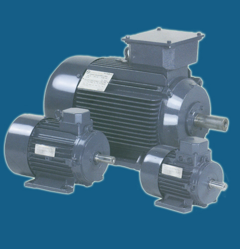 L&T Motors Chennai | Induction Motors Chennai| Laminated Yoke Motor